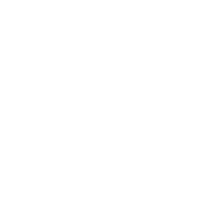 Rave Ranch | Light-Up Cowboy Hats & Western Themed Accessories – RaveRanch